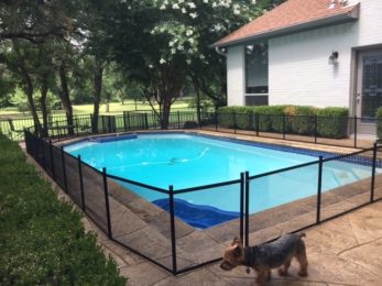 Pet Pool Fence Photos